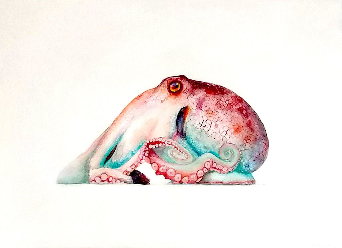 Pale Octopus – Mia Riddell Watercolour