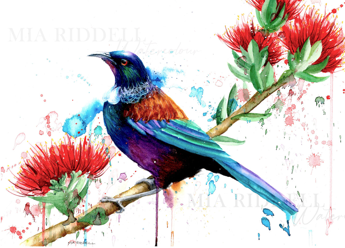 Tui on Pohutakawa – Mia Riddell Watercolour
